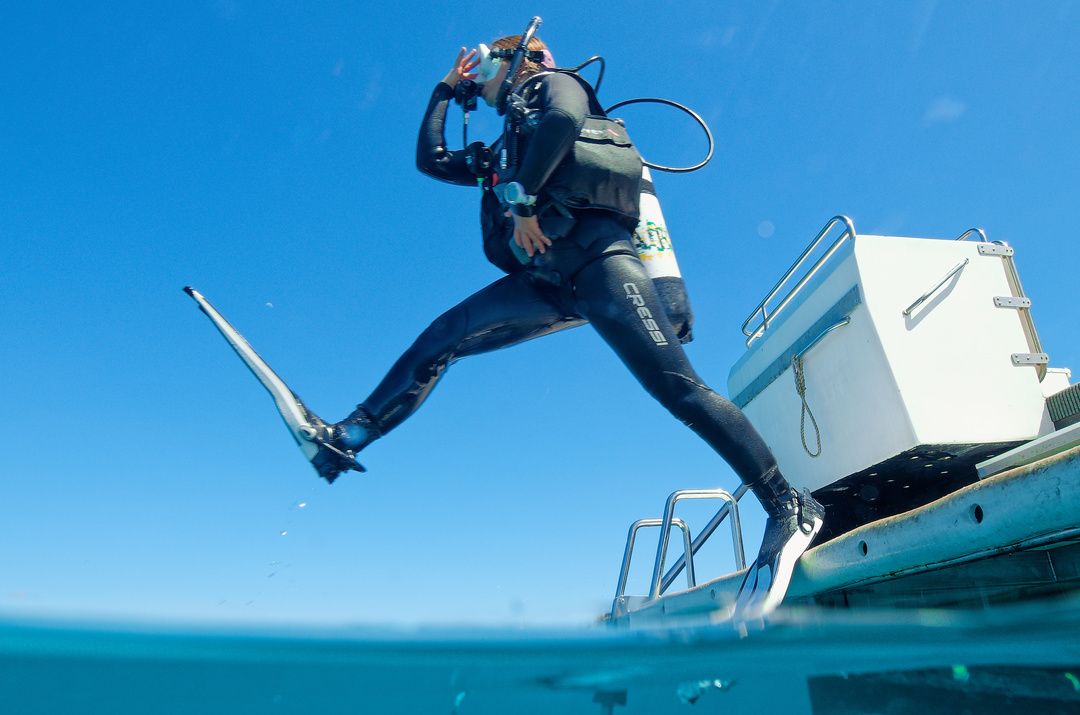 Pool Refresher - Exmouth Dive and Whale Sharks